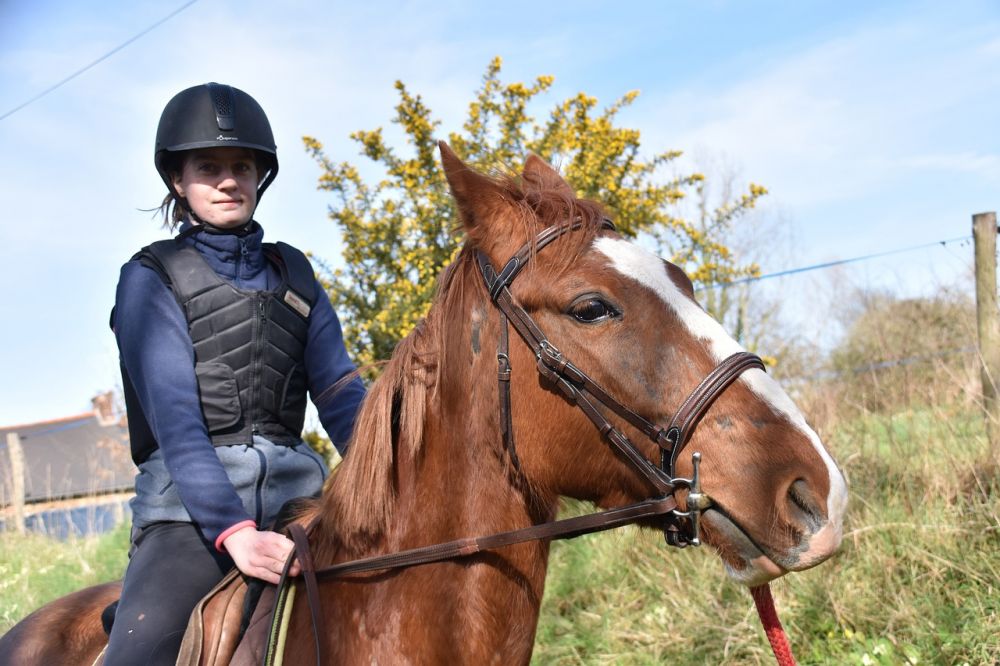 Rideutstyr: en omfattende guide for ryttere